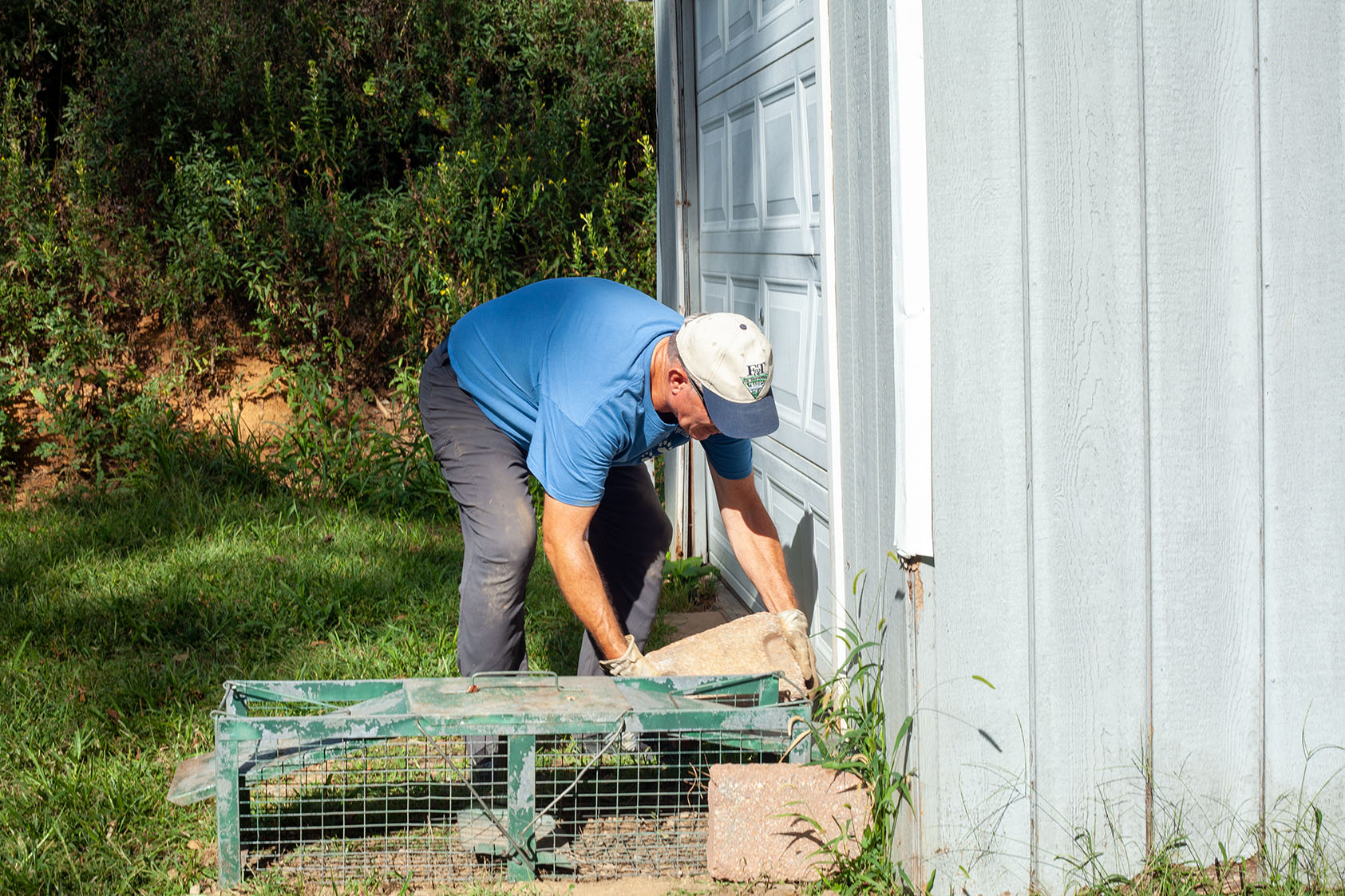 Photos - Wildlife Enterprises LLC