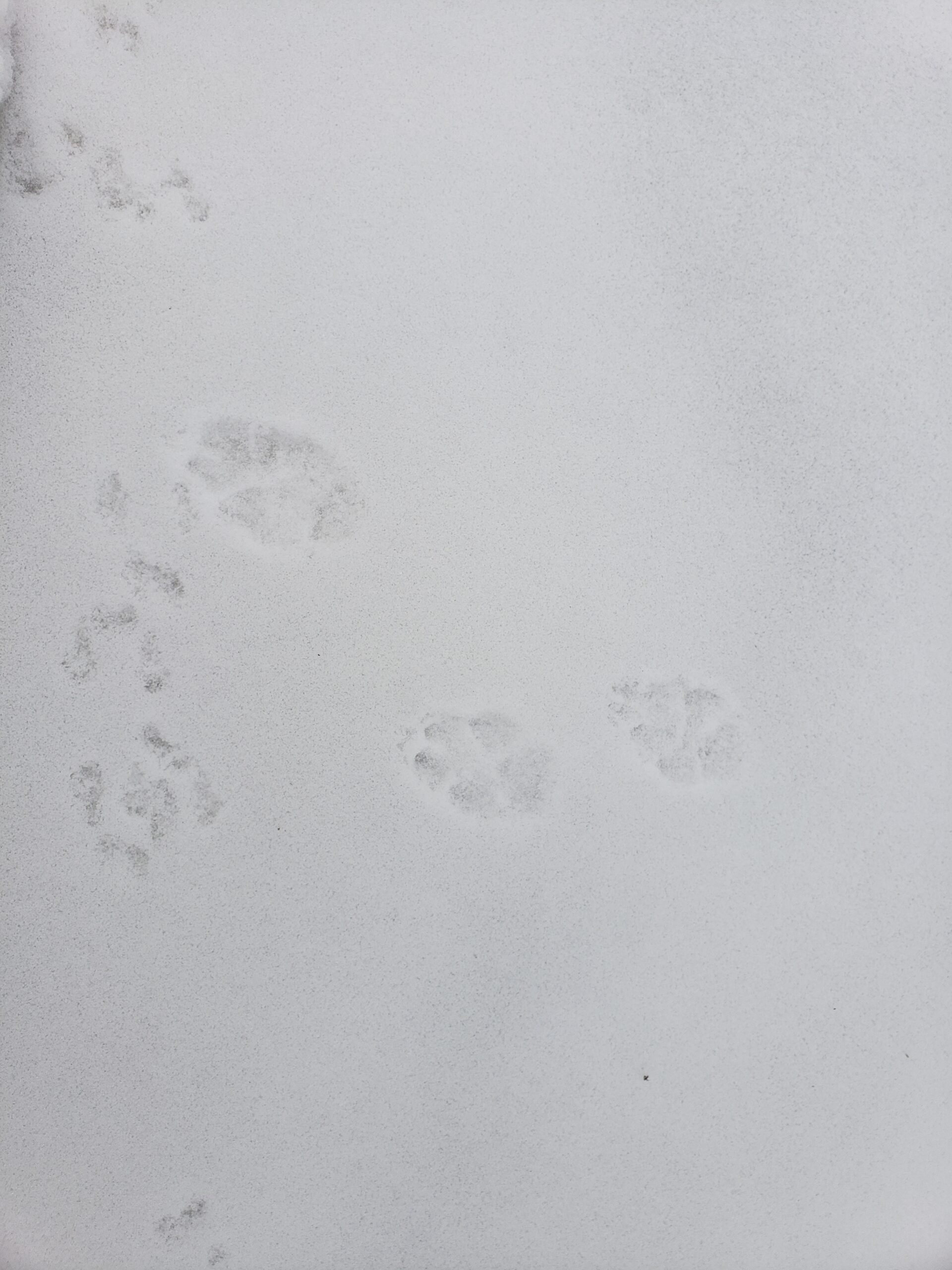 Wildlife Signs - Wildlife Enterprises LLC