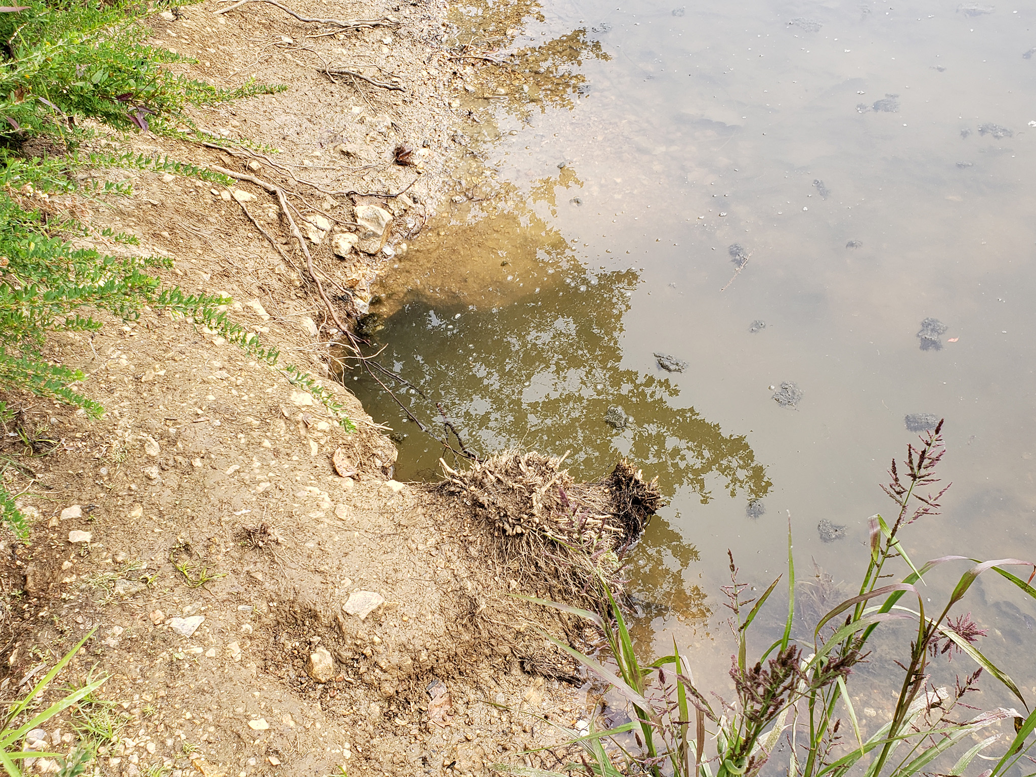 Wildlife Signs - Wildlife Enterprises LLC